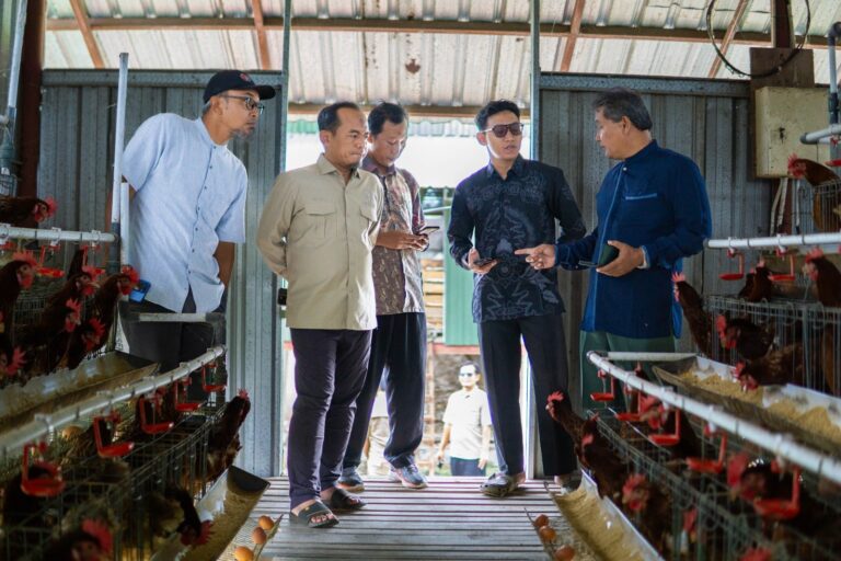 Riyono Caping: Peternak Ayam Petelur Rakyat Harus Ada Jaminan Harga dan ...
